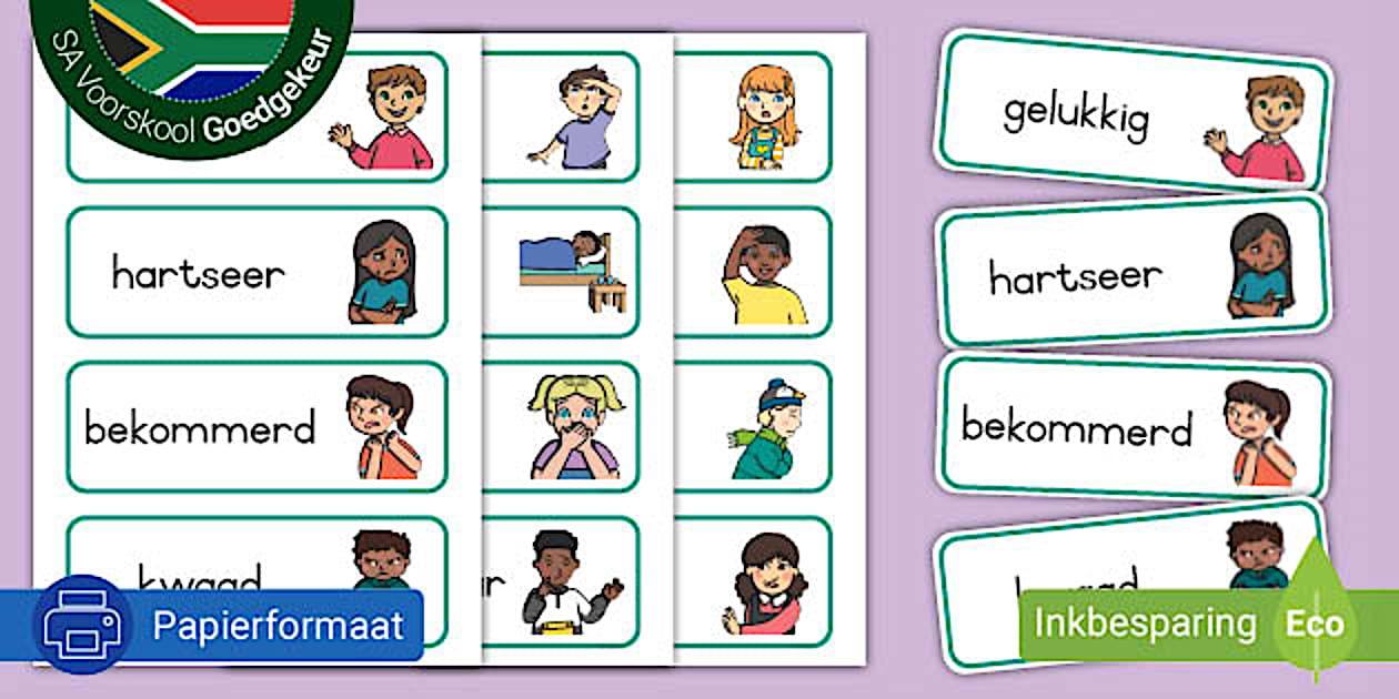 Emosies Woordkaarte (teacher made) - Twinkl