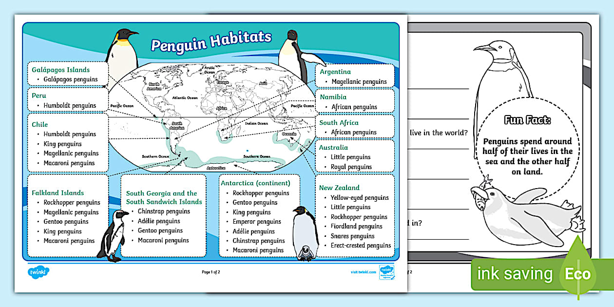 Penguins Habitats | Penguin Species Map | Twinkl | KS1
