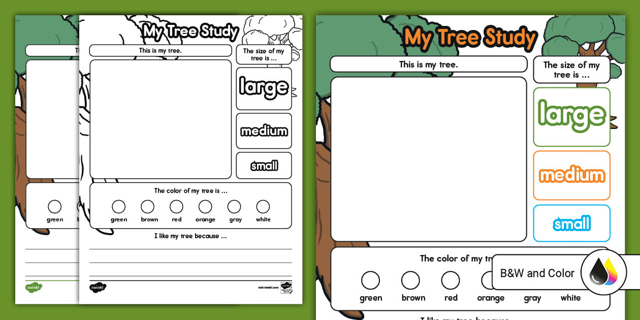 Prekindergarten My Tree Study Worksheet (teacher made)