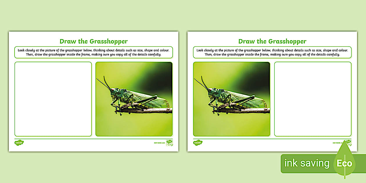 Draw a Grasshopper Art Activity (teacher made) - Twinkl