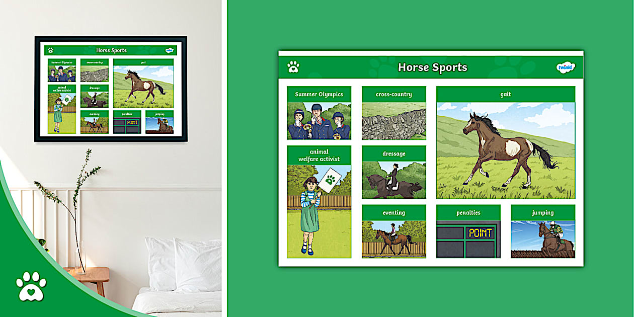 Horse Sports - Word Mat - Equestrian Sports - Twinkl Pets