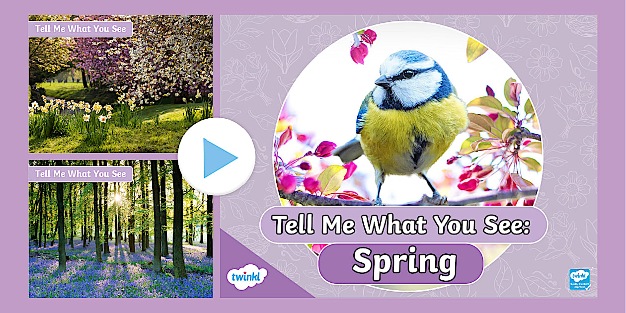 Tell Me What You See: Spring PowerPoint | Twinkl - Twinkl