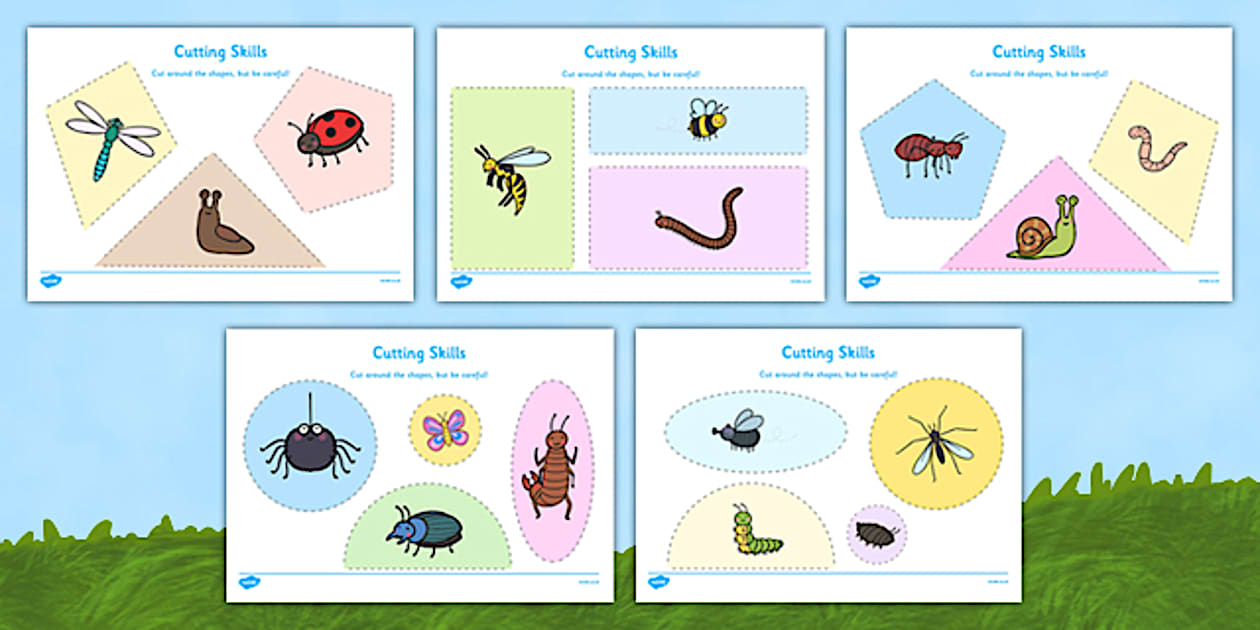 Minibeast Themed Cutting Skills Worksheets (teacher made)