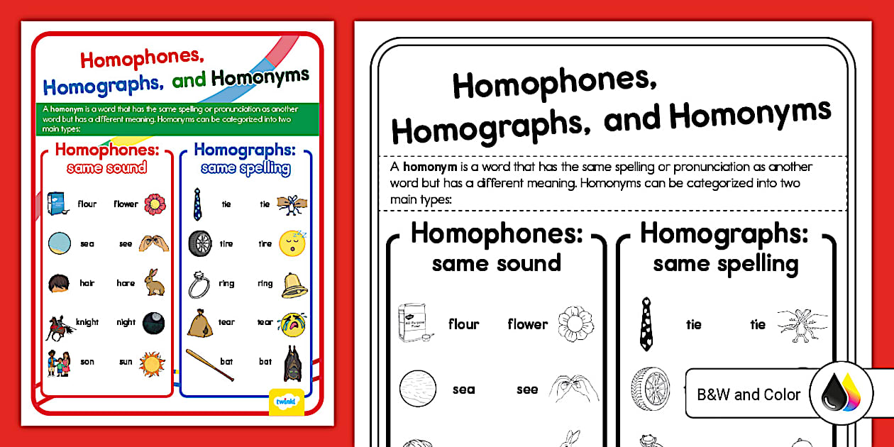 Homophones, Homographs, and Homonyms Poster (teacher made)