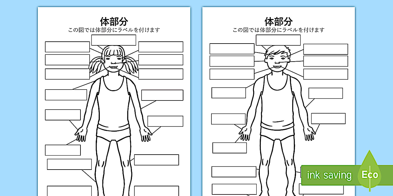 Editable Japanese Body Part Labelling Worksheet - Twinkl