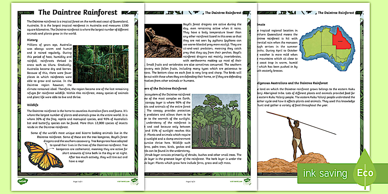 SA Daintree Rainforest Fact Sheet (teacher made) - Twinkl