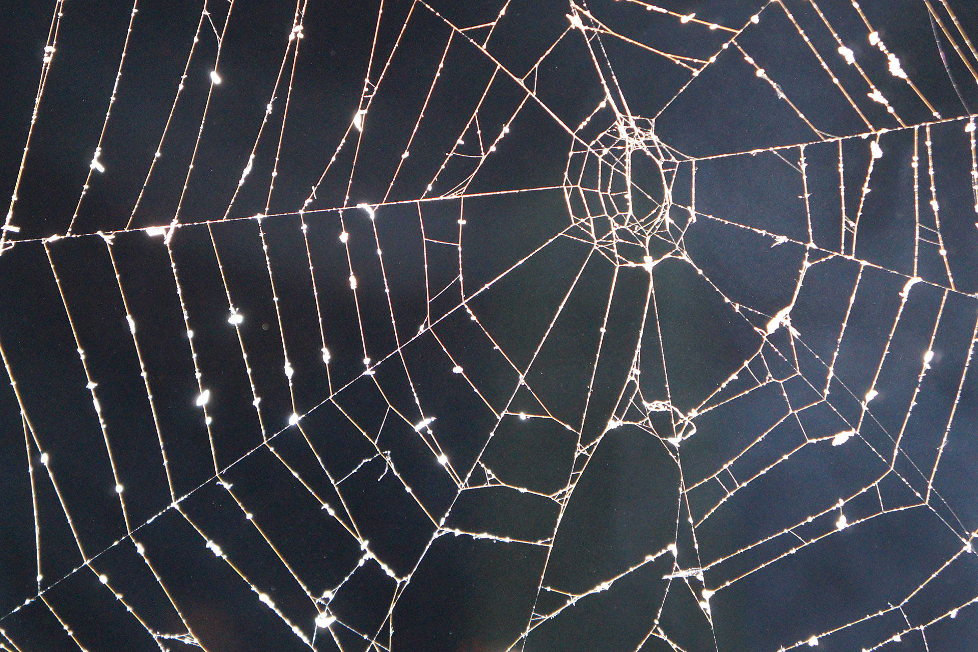 Halloween Classroom Starters & Teaching Ideas - Twinkl