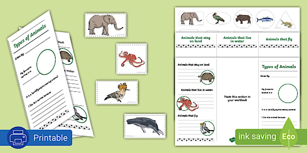 Types of Mammals, Cephalopods and More – Animal Worksheet