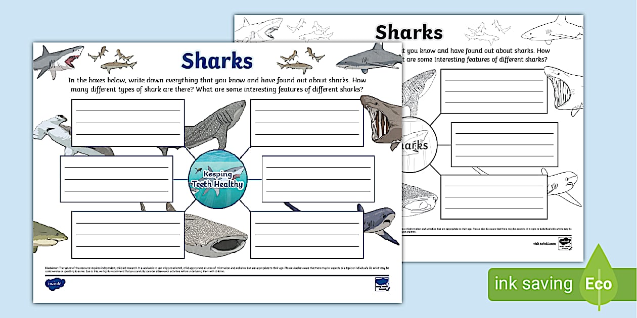 Sharks Mind Map (teacher made) - Twinkl