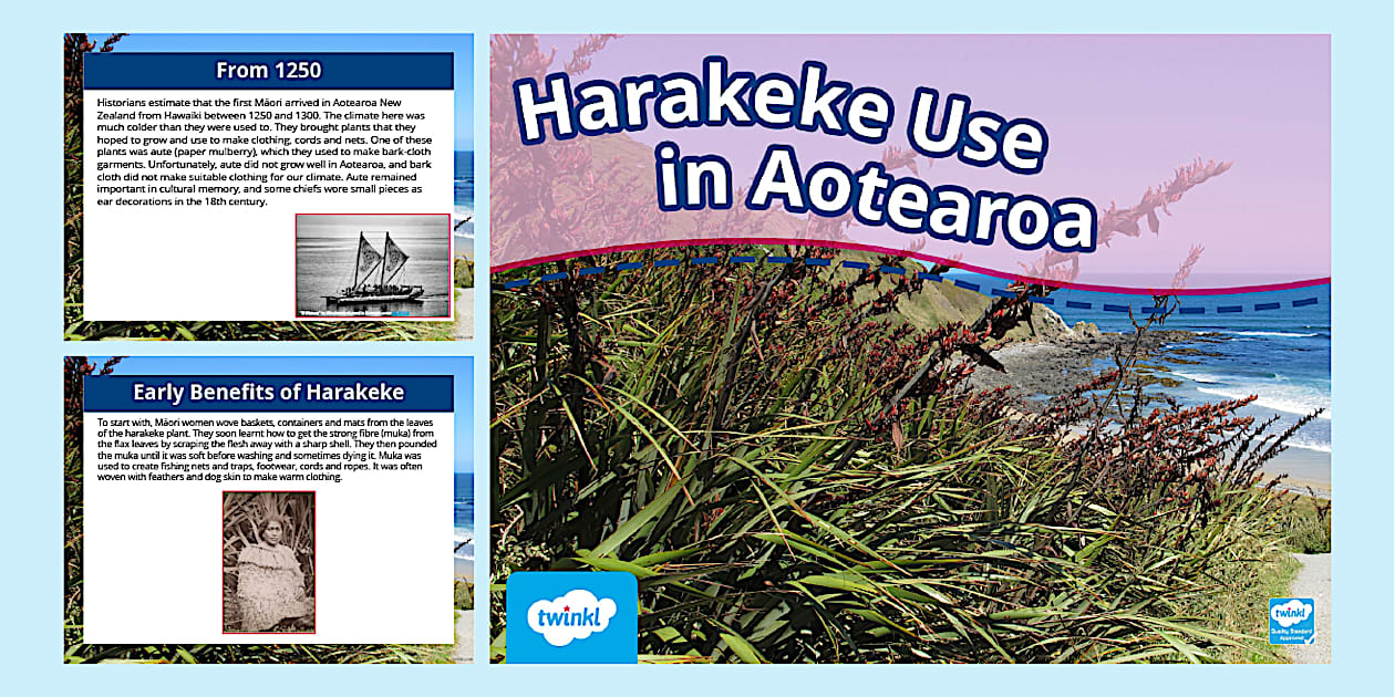 Harakeke Use in Aotearoa PowerPoint (teacher made) - Twinkl
