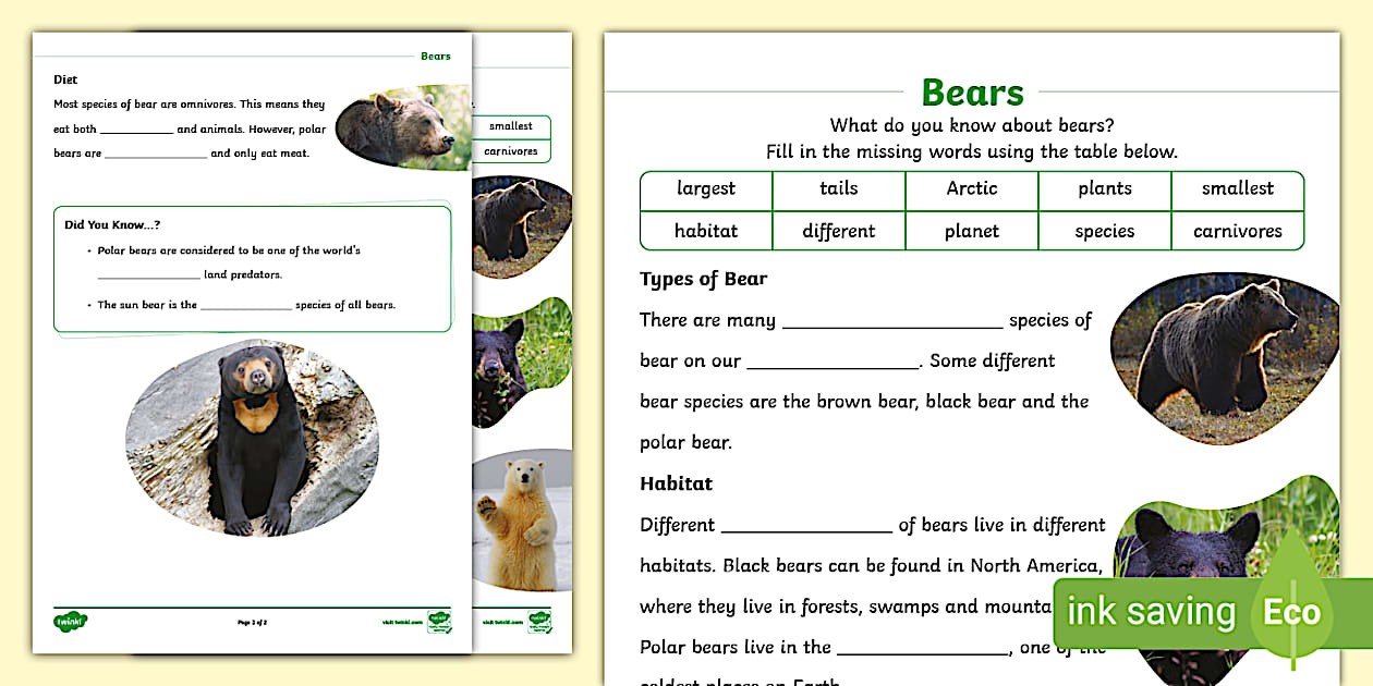 Bears Cloze Worksheet (teacher made) - Twinkl