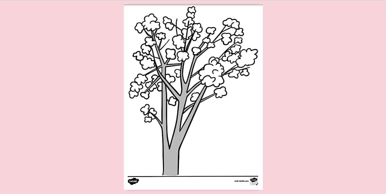 Magnolia Tree Colouring Sheet | Tree Colouring Pages | KS1