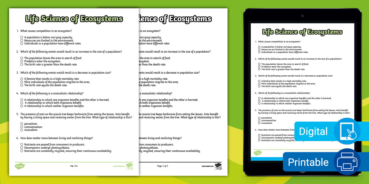 Sixth Grade NGSS Life Science of Ecosystems Quiz - Twinkl