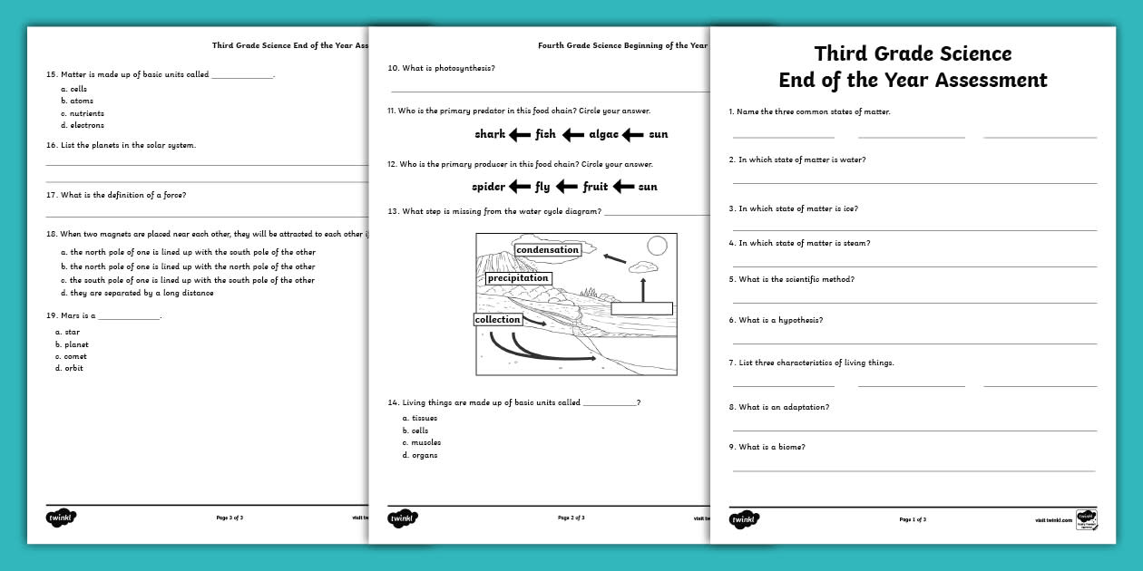 Third Grade End of the Year Science Assessment - Twinkl
