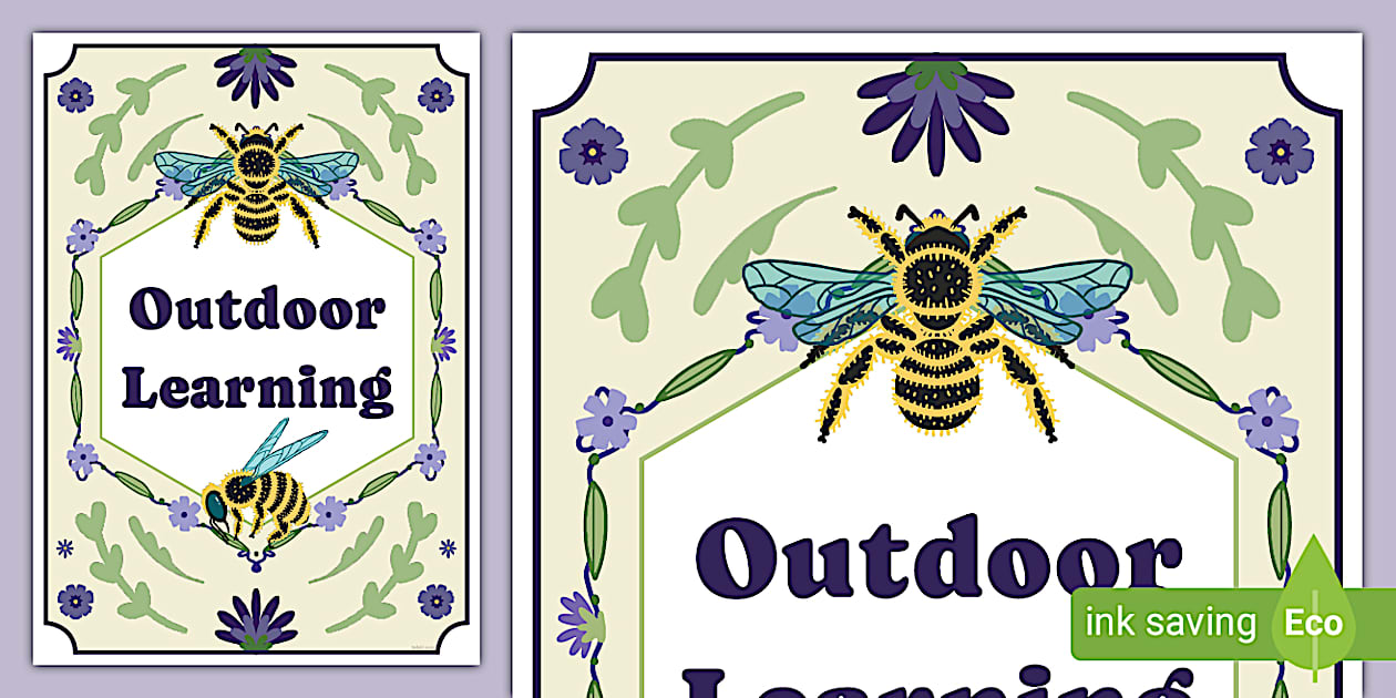 Bee-Themed Outdoor Learning Display Poster (Teacher-Made)