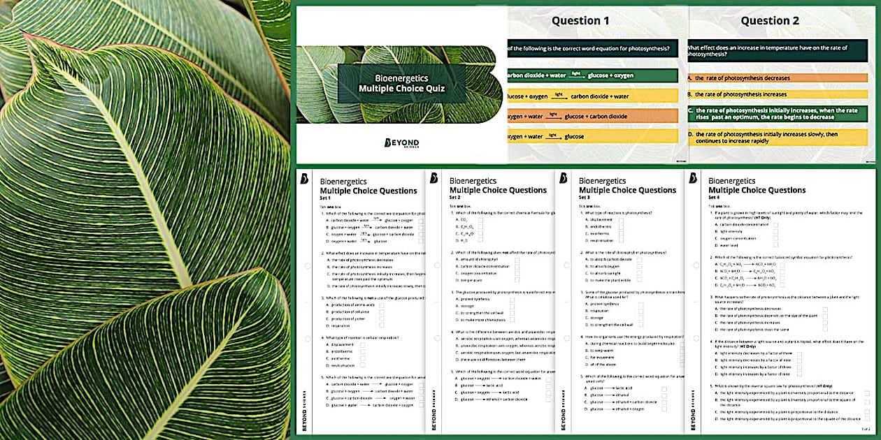 AQA Bioenergetics Quiz Bundle | Biology | Beyond - Twinkl