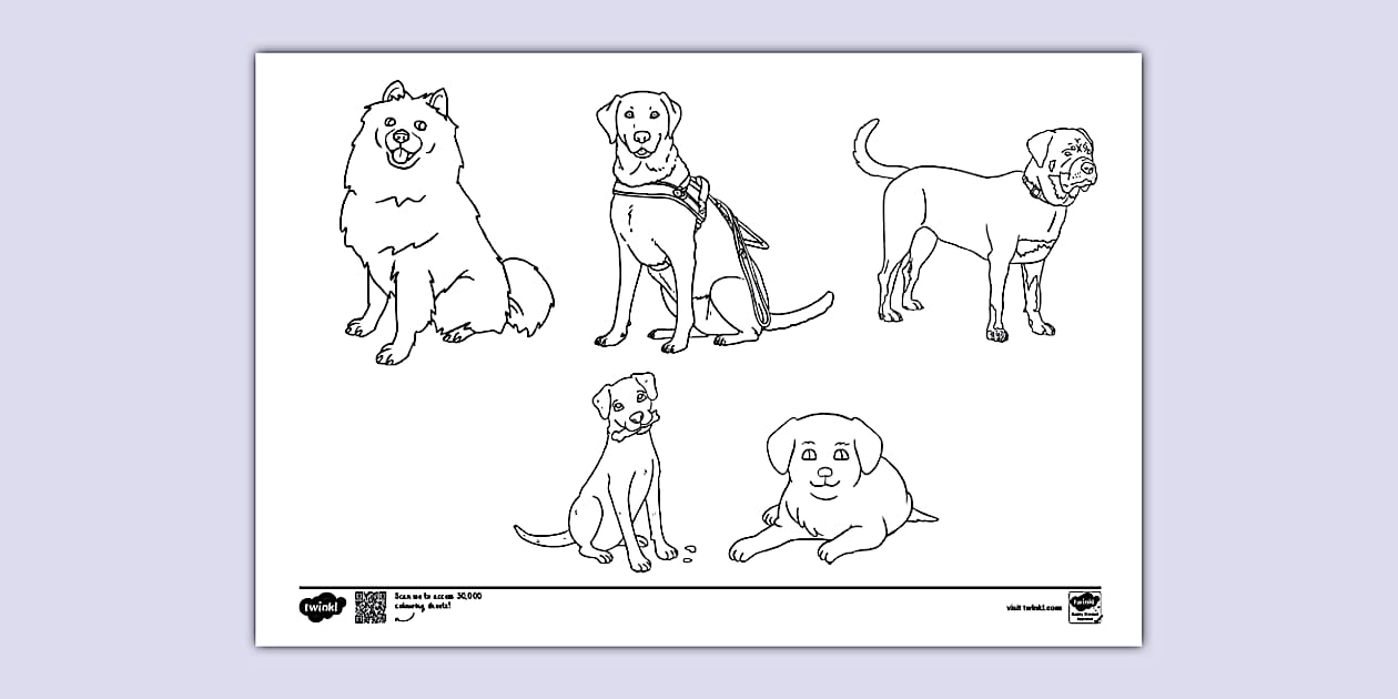 The Dogs Colouring | Colouring Sheets (Teacher-Made)