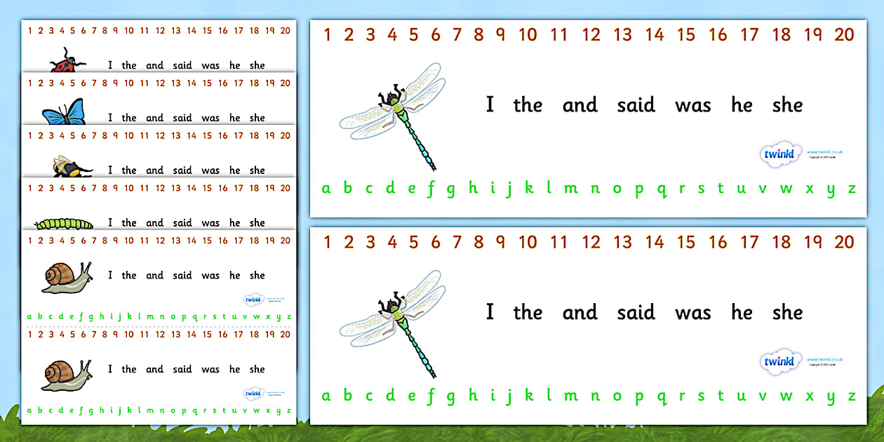 Number and Alphabet Strips Minibeasts (teacher made)