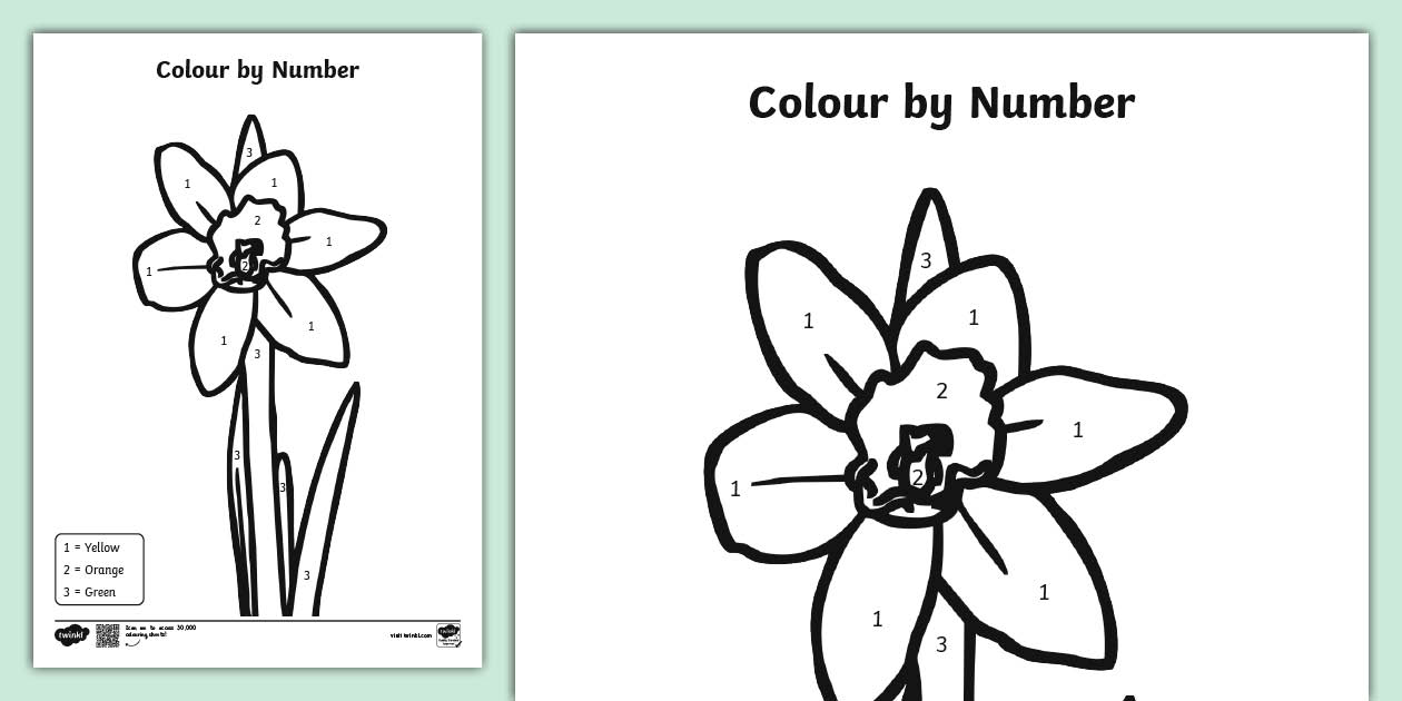Daffodil Colour By Number Sheet (teacher made) - Twinkl