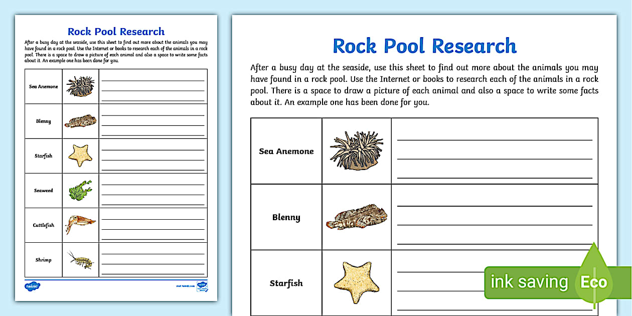 Rock Pool Habitat Worksheet | Science | Primary Resources