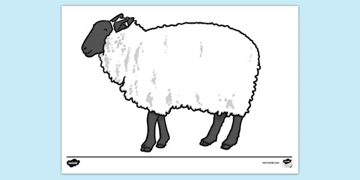 Smiling Sheep Colouring Sheet | Colouring Sheets - Twinkl