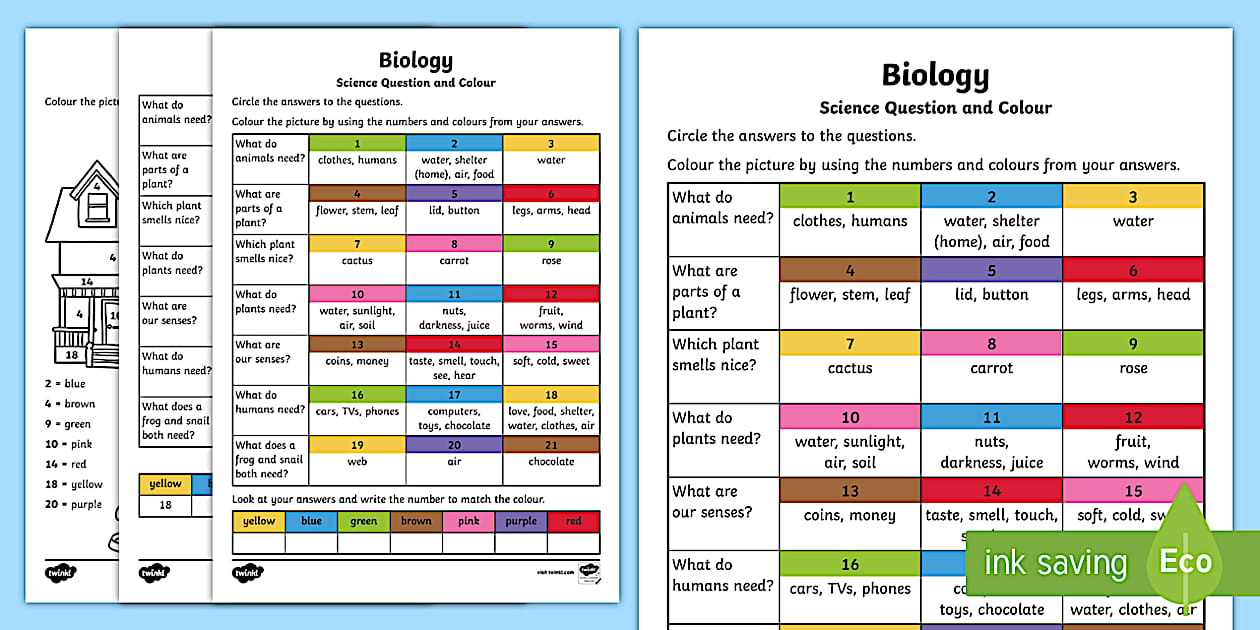 Biological Science Questions and Colouring Worksheet / Worksheets-Australia