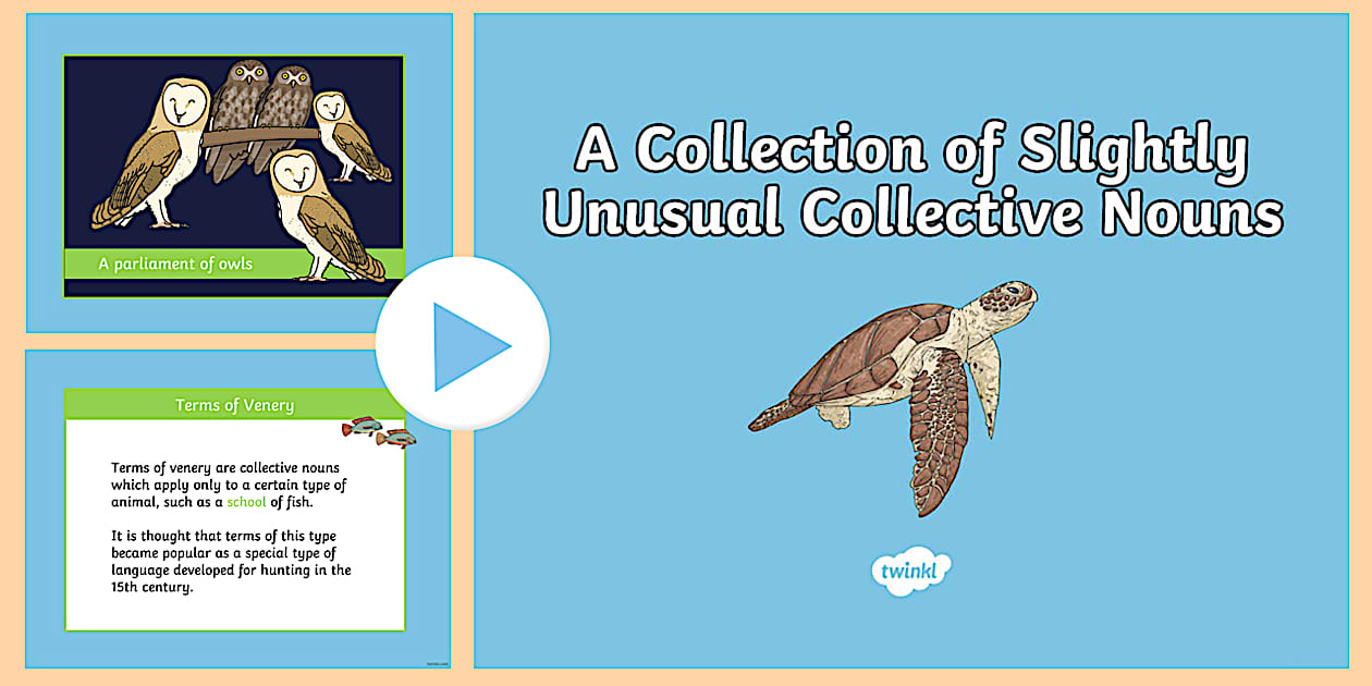 A Collection of Slightly Unusual Collective Nouns PowerPoint