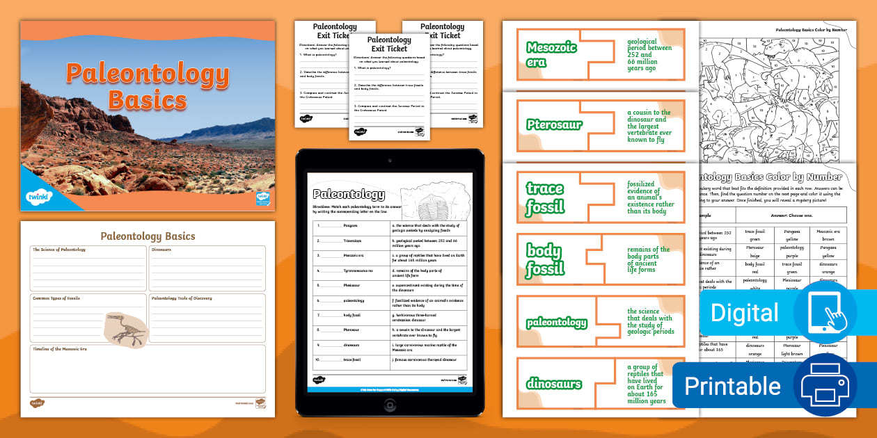 Sixth Grade Paleontology Basics Lesson Pack