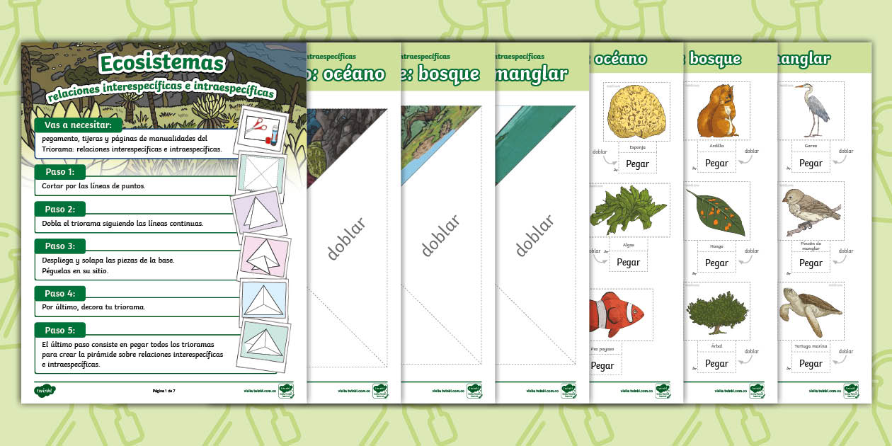 Triorama Ecosistemas: Manualidad Educativa - Twinkl Colombia