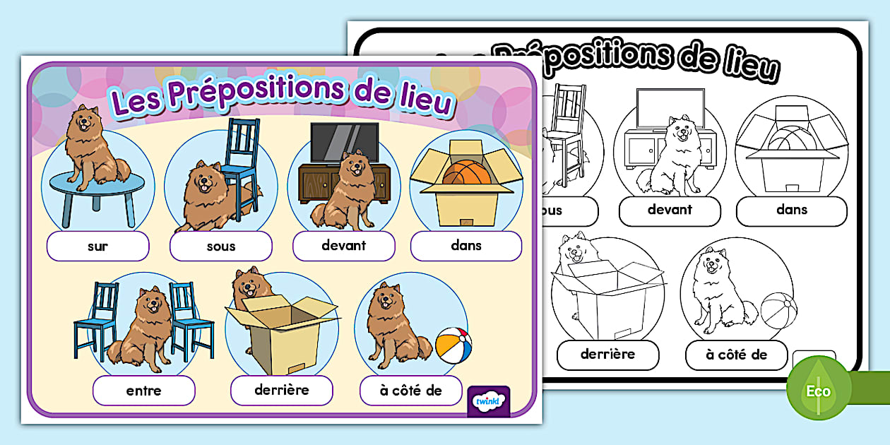 Affiches: Les Prépositions de lieu (Teacher-Made) - Twinkl