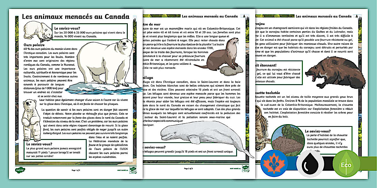 Canada's Endangered Animals Fact File French (teacher made)