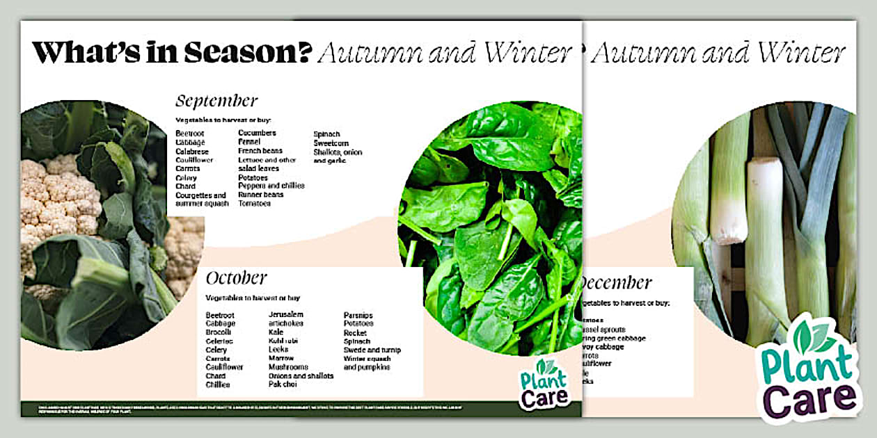 What's in Season? Autumn and Winter Vegetables - Twinkl