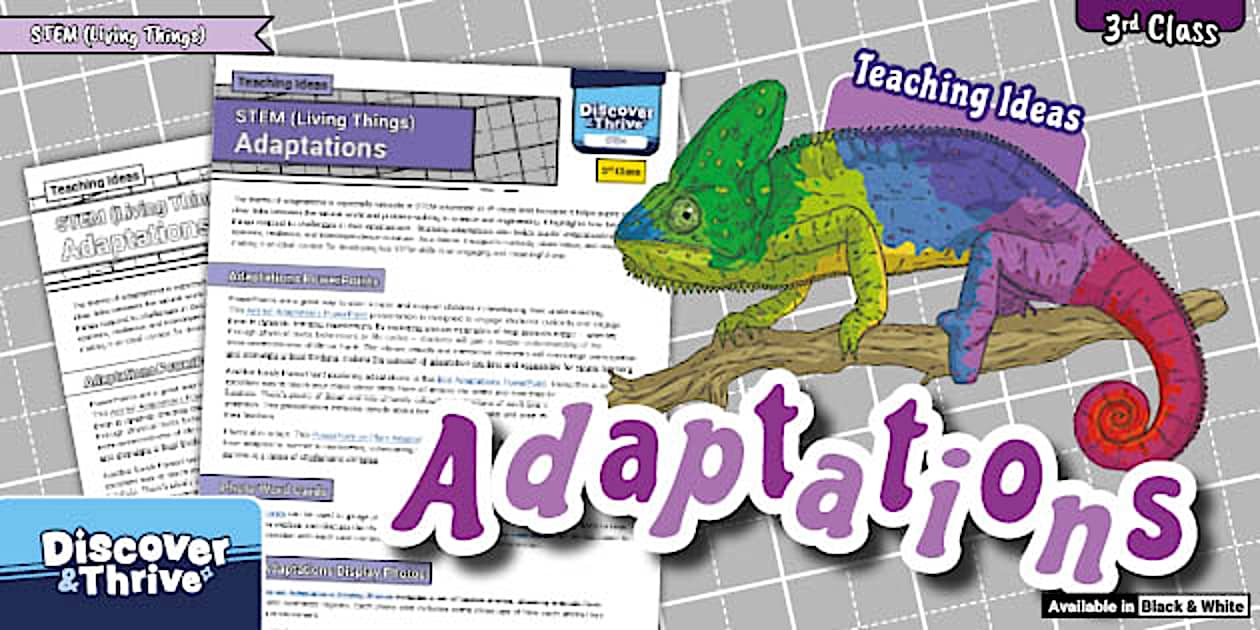 Adaptations teaching ideas 4th class
