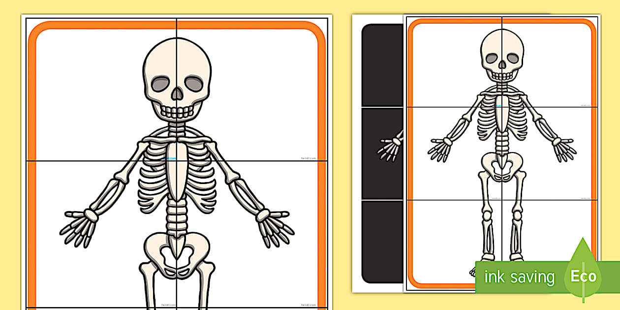 Skeleton Hunt Cards (teacher made) - Twinkl