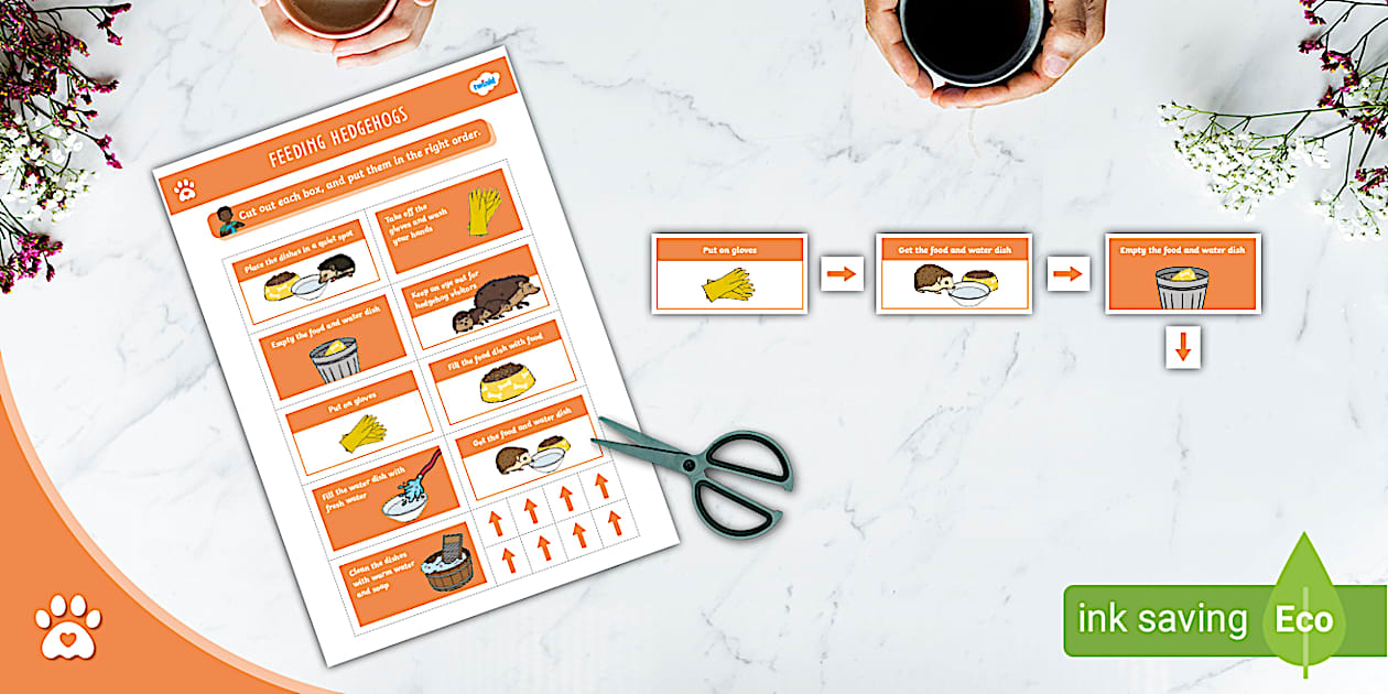 Feeding Hedgehogs - Sequencing Cards - Wildlife - Pets
