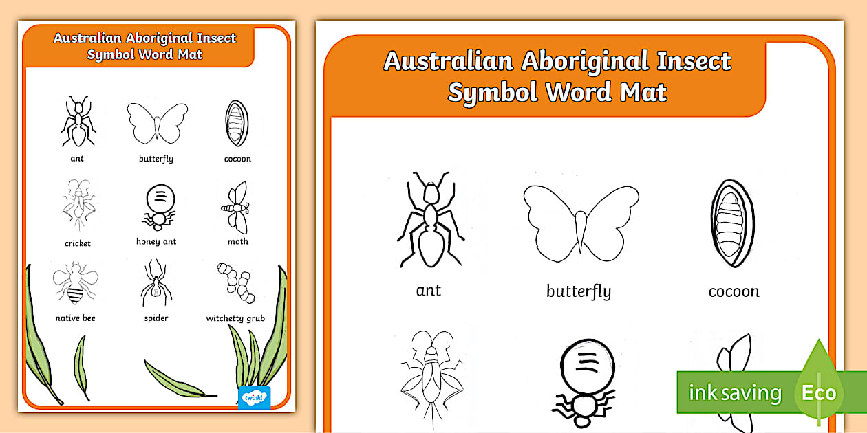 Australian Aboriginal Insect Symbol Word Mat (teacher made)