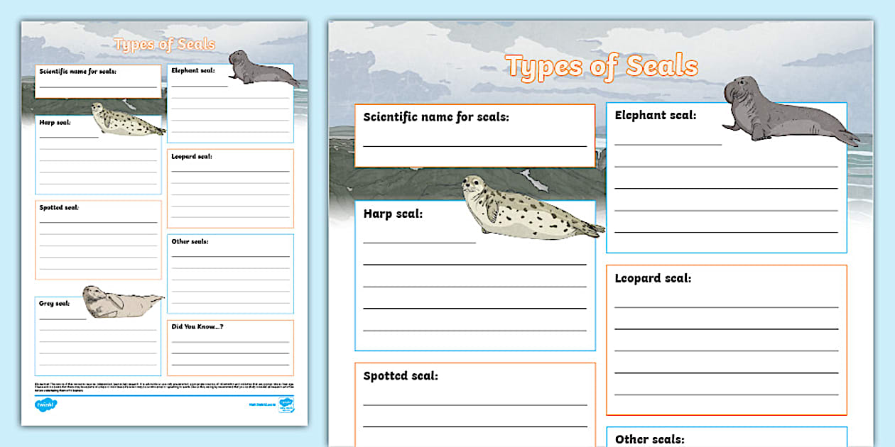 Types of Seals Fact File Template (Teacher-Made) - Twinkl