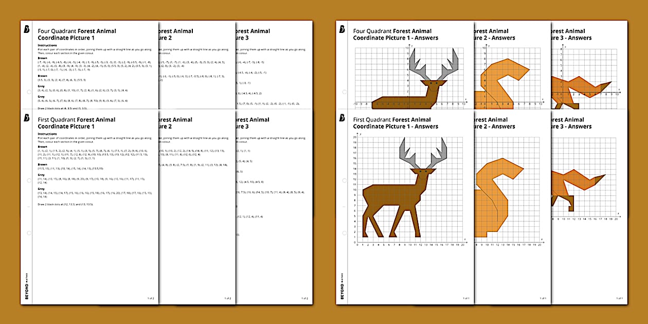 👉 KS3 Plotting Coordinates Worksheets: Forest Animals | Maths