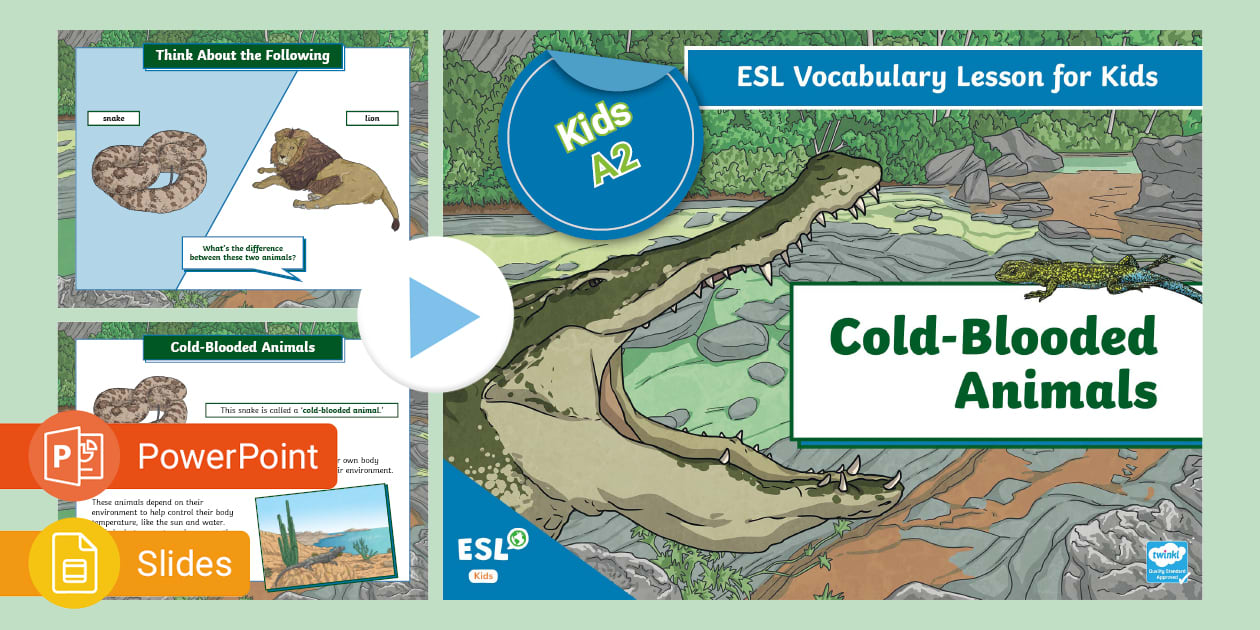 ESL Cold-Blooded Animals Lesson [Kids, A2] (teacher made)