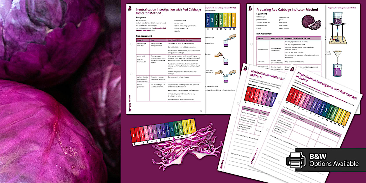 Red Cabbage Indicator Neutralisation Investigation | Beyond