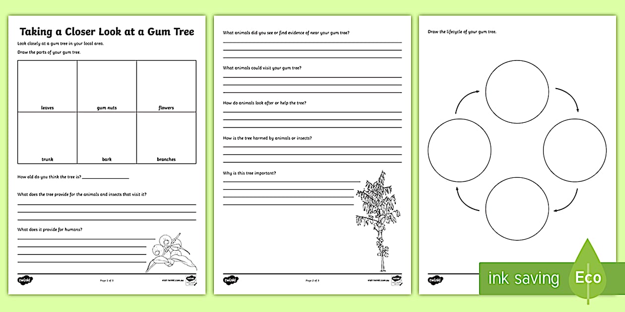 Gum Tree Worksheet—Australia – AC9S4U01 - Twinkl