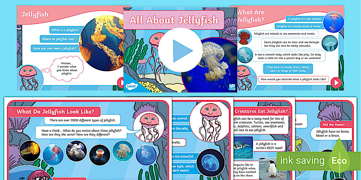 All About Jellyfish PowerPoint and Fact Files Pack - Twinkl