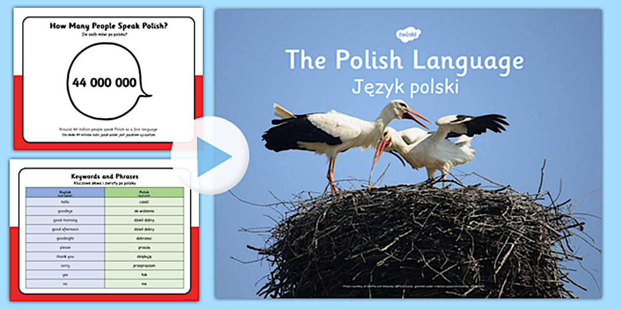 Polish Language PowerPoint Polish Translation (teacher made)