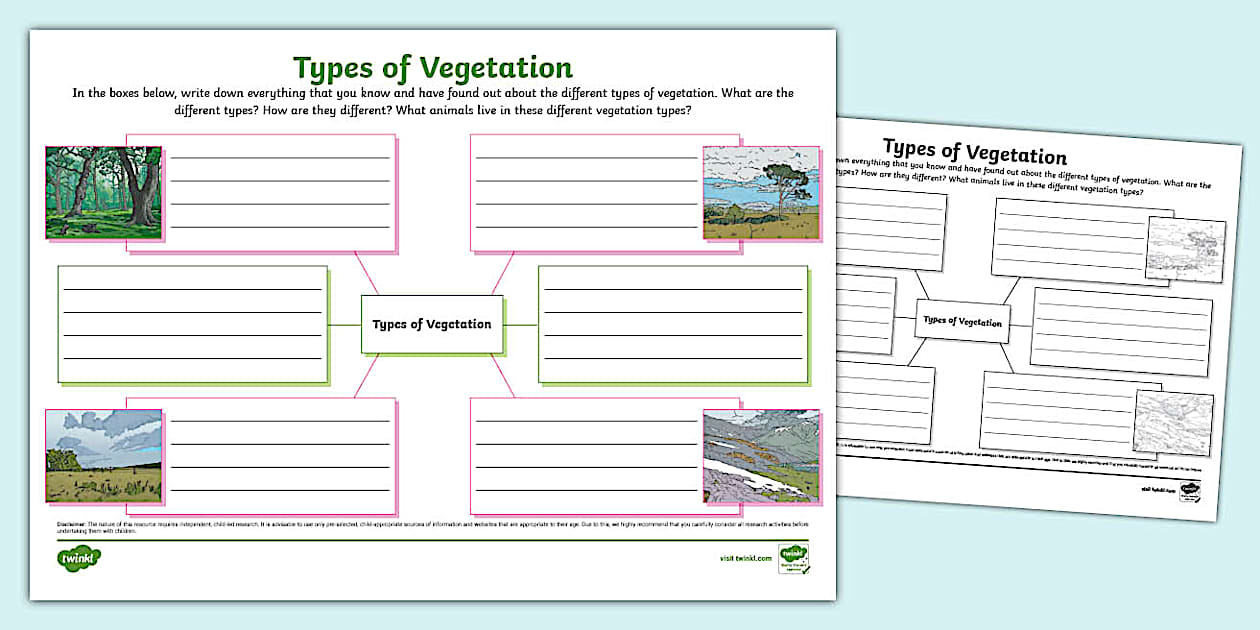 Types of Vegetation Mind Map (teacher made) - Twinkl