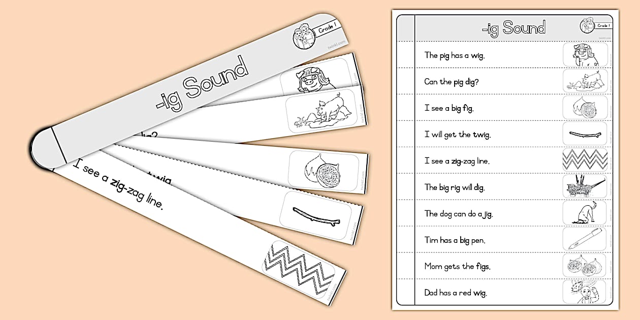 Grade 1 Phonics: -ig Reading Strips (Hecho por educadores)