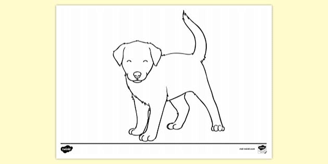 Dog Colouring Sheet | Colouring Sheets (teacher made)