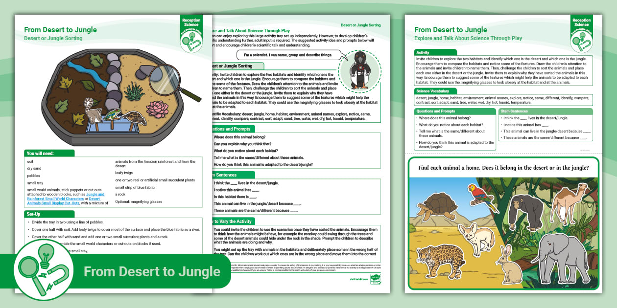 EYFS Science Desert to Jungle Large Activity Tray: Sorting