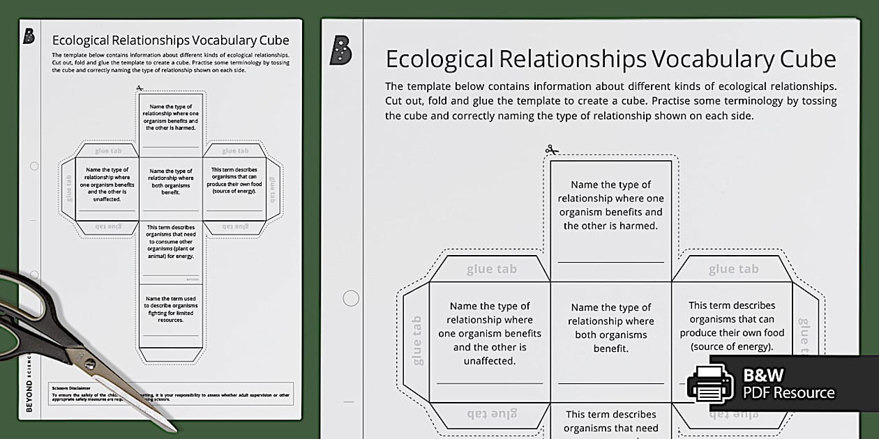 Ecological Relationship Vocabulary Cube (teacher made)