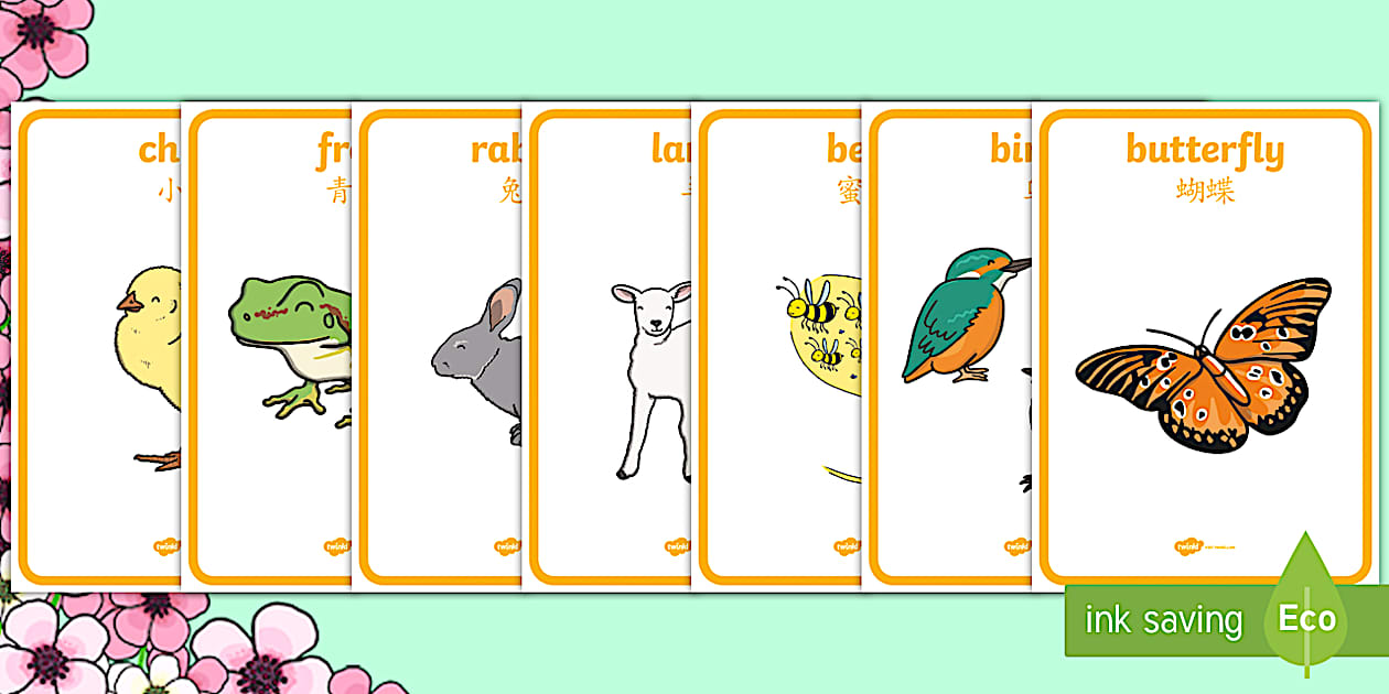 Spring Animals Posters English/Mandarin Chinese - Twinkl