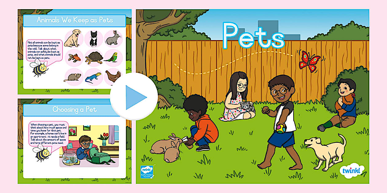 Grade 1 - Pets Theme Discussion PowerPoint - Twinkl